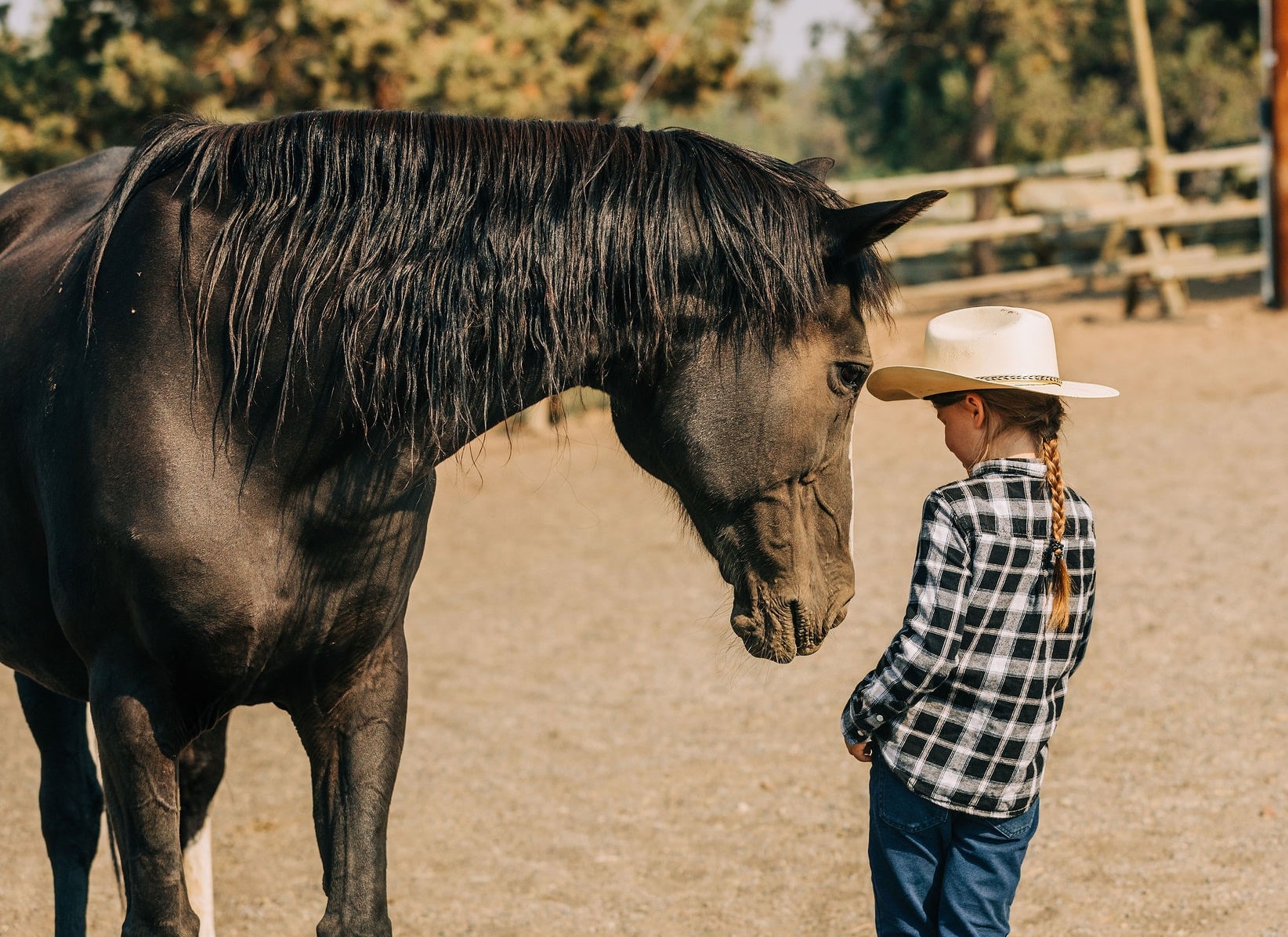 Ojava - Crystal Peaks Youth Ranch
