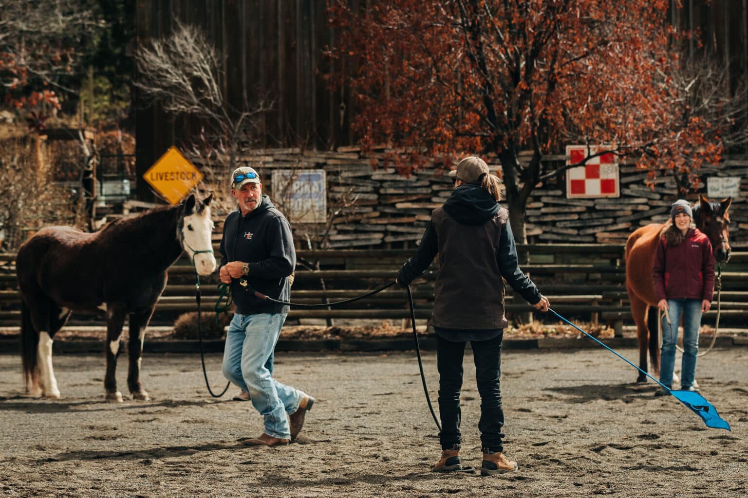 Internship - Crystal Peaks Youth Ranch