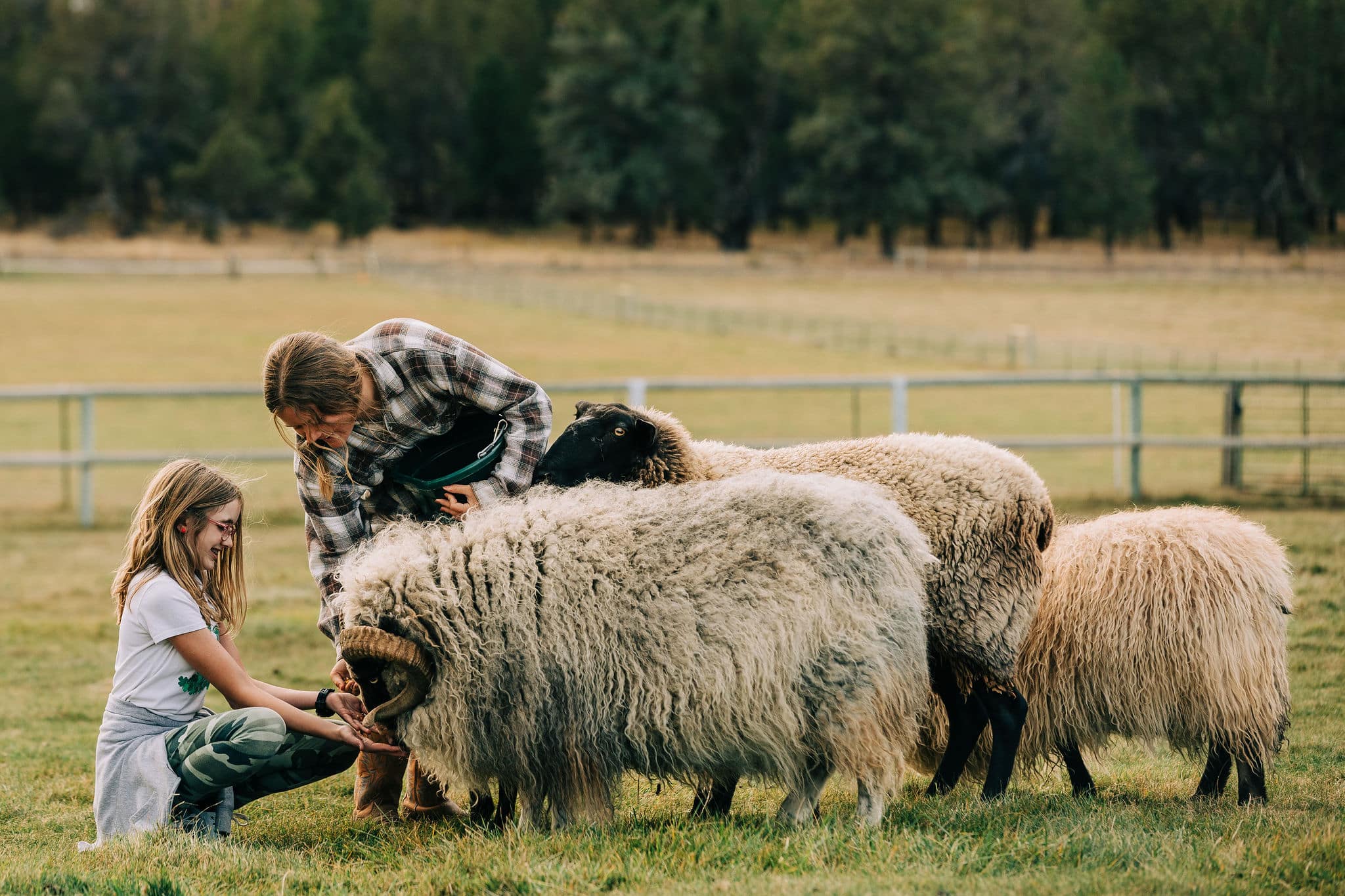 Home - Crystal Peaks Youth Ranch